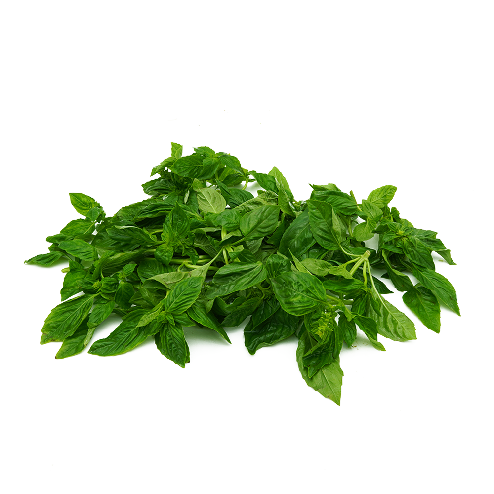 Italian Basil (Trimmed) | Order ingredients online | freshket