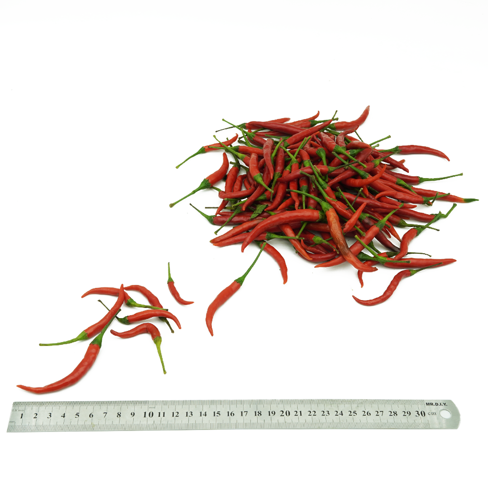 Red Bird's Eye Chilli - Freshket Order ingredients online