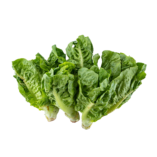 Baby Cos Lettuce | Order ingredients online | freshket