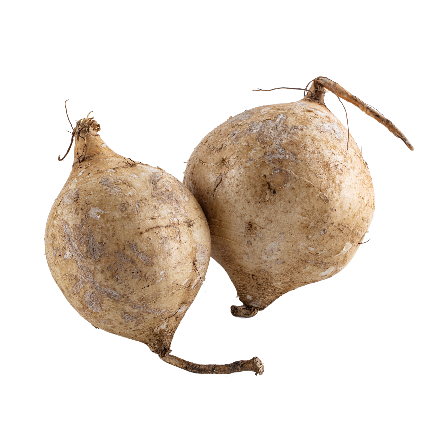 Yam Bean | Order ingredients online | freshket