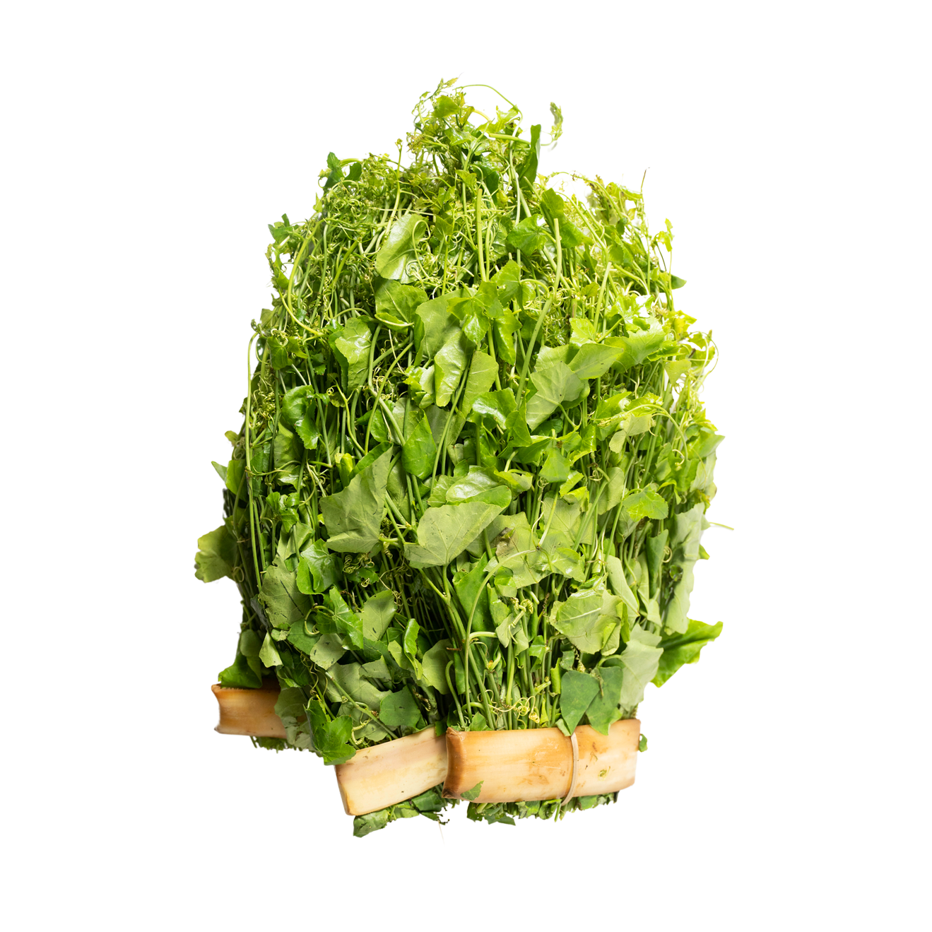 Ivy Gourd Best Price Order Ingredients Online Freshket ivy-gourd-best-price-order-ingredients-online-freshket