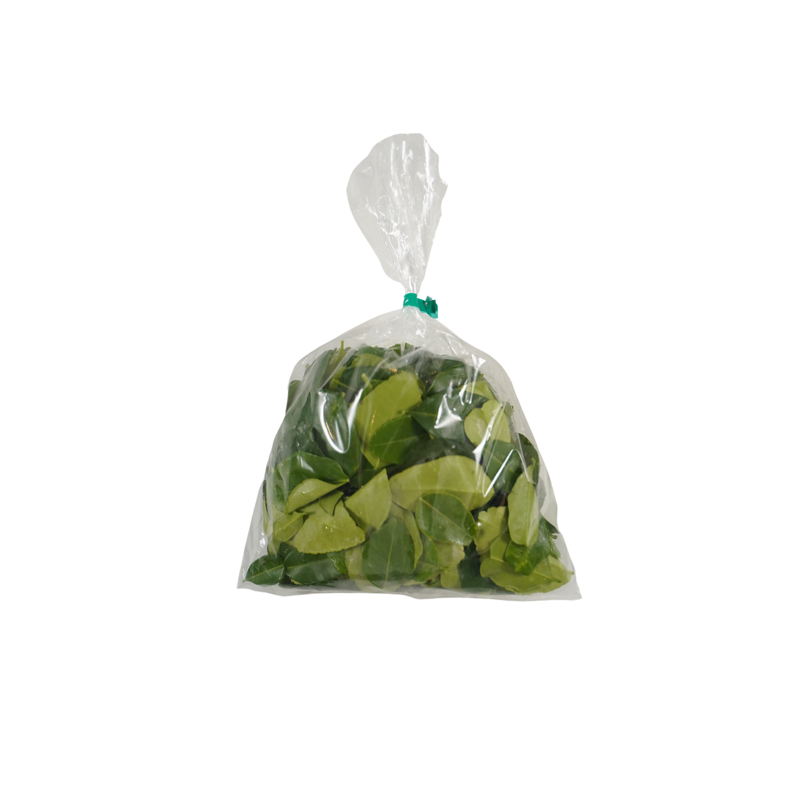 ใบมะกรูด เด็ดใบ | freshket สั่งวัตถุดิบออนไลน์