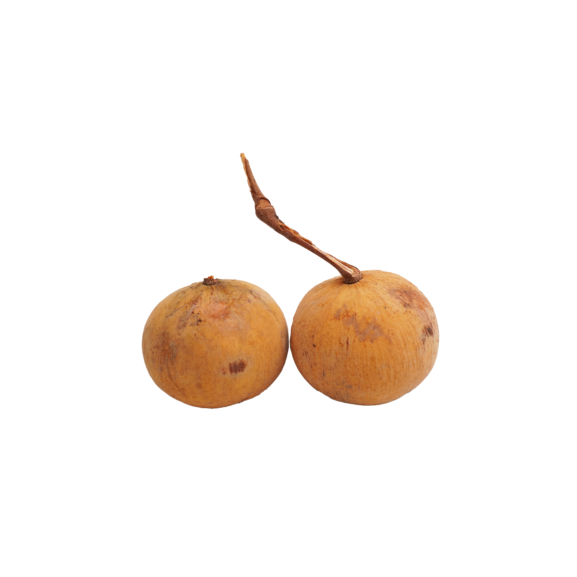 Santol 2 each/kg. | Order ingredients online | freshket