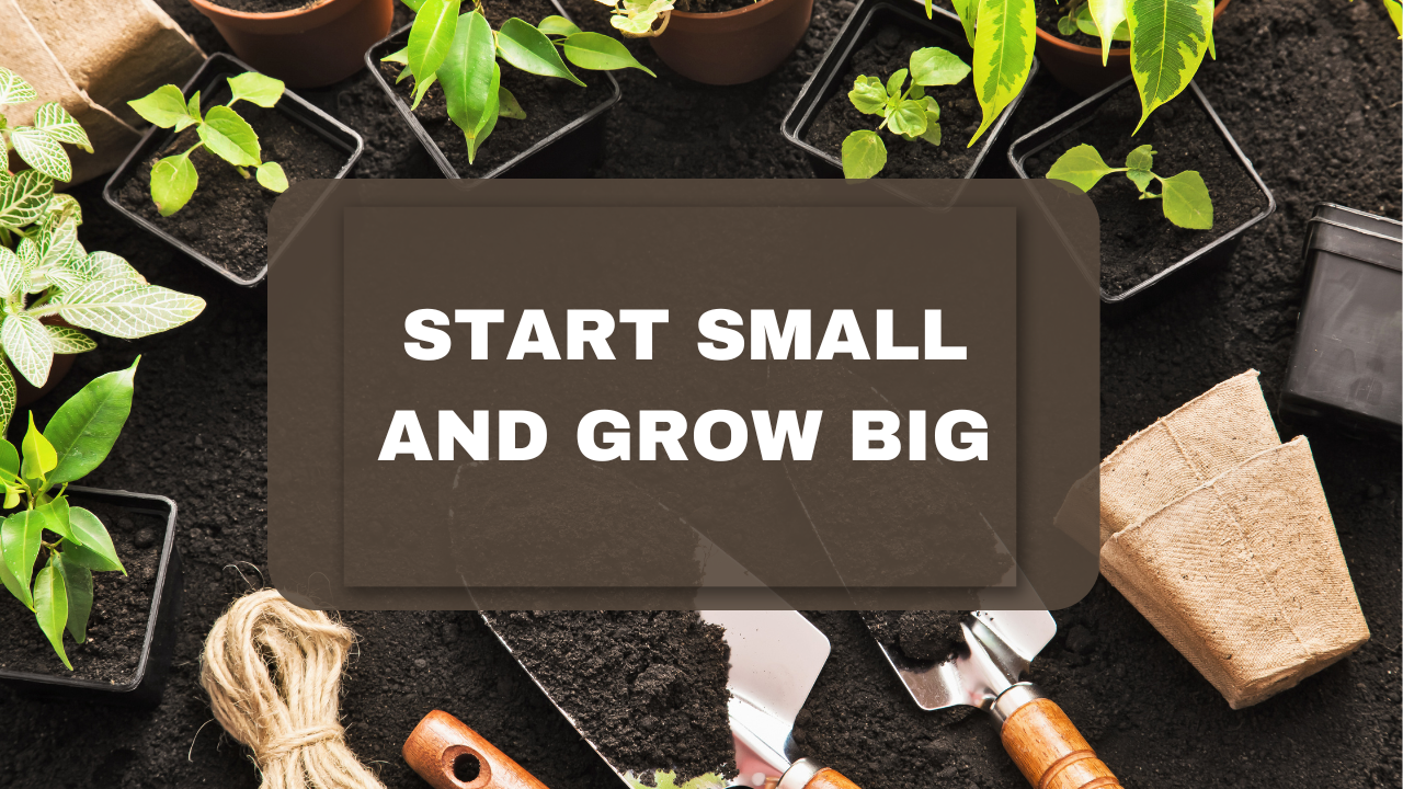 Author: NIYONSABA Fridolin