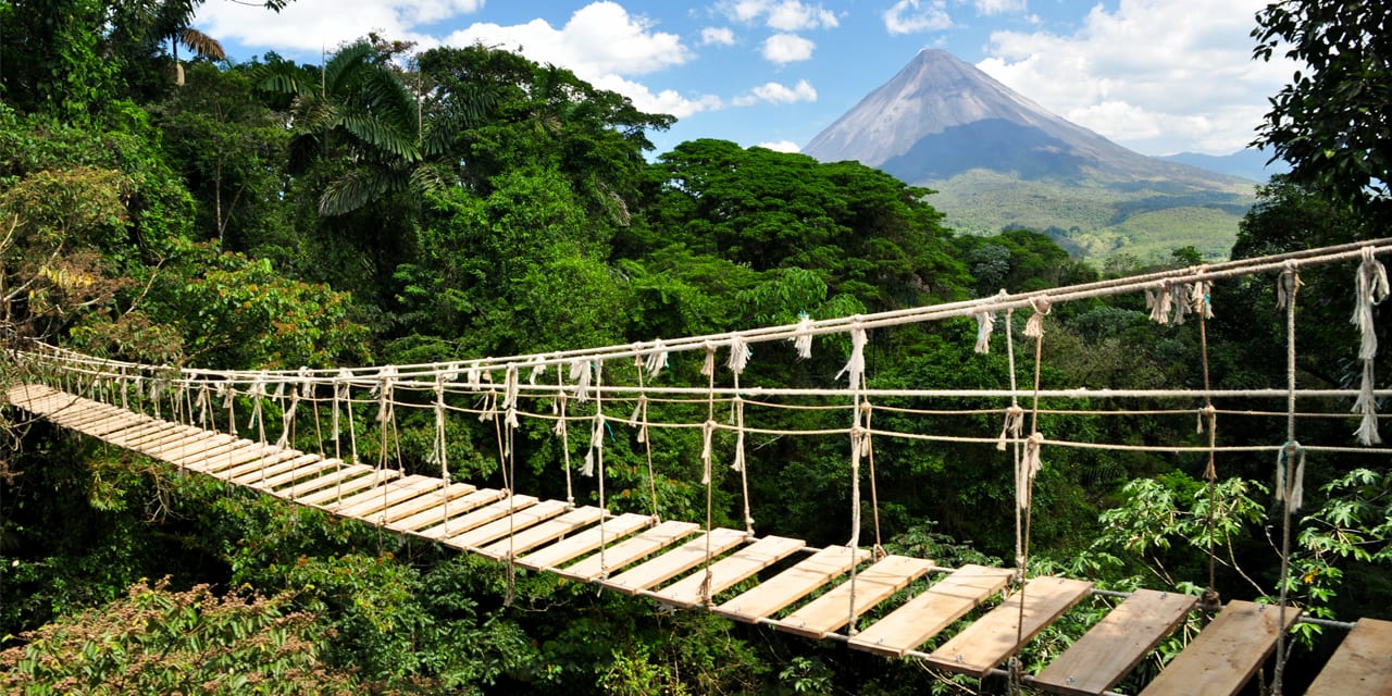 Friendly Planet's Newsletter - Environment