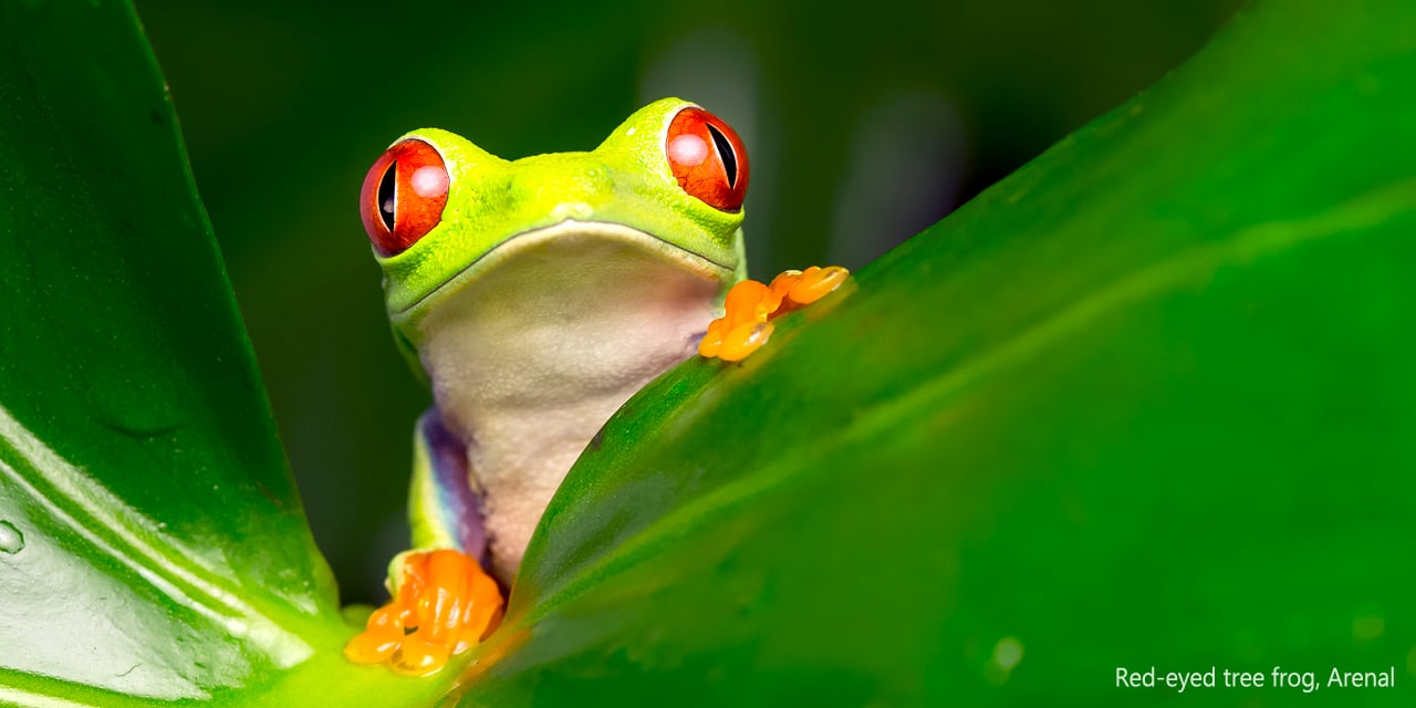 Friendly Planet's Newsletter - Wildlife