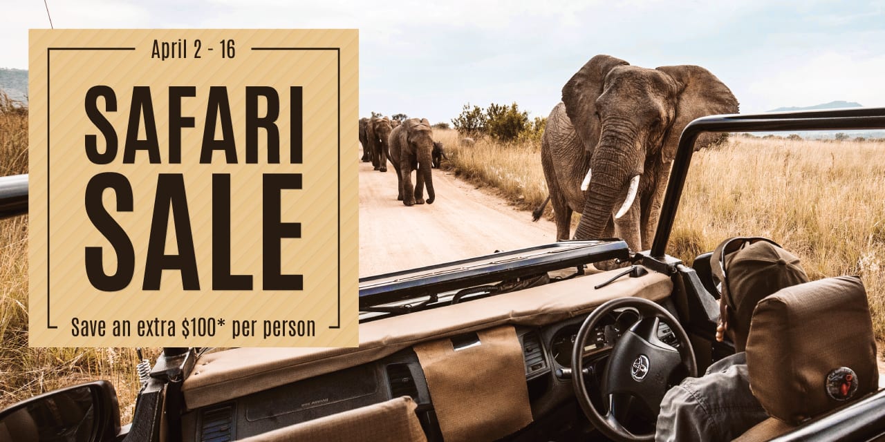 Friendly Planet's Newsletter - Safari Sale