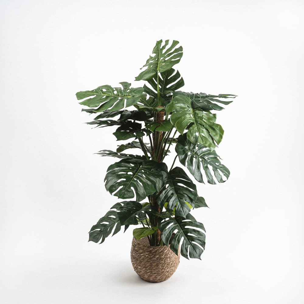 Árbol de Planta de monstera Artificial con tutor | Fronda