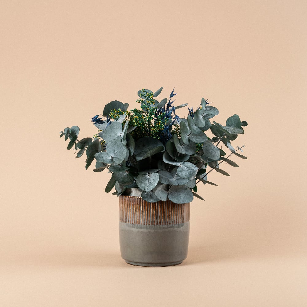 Maceta de flores preservadas de Eucalipto Cinerea y Solidago | Fronda