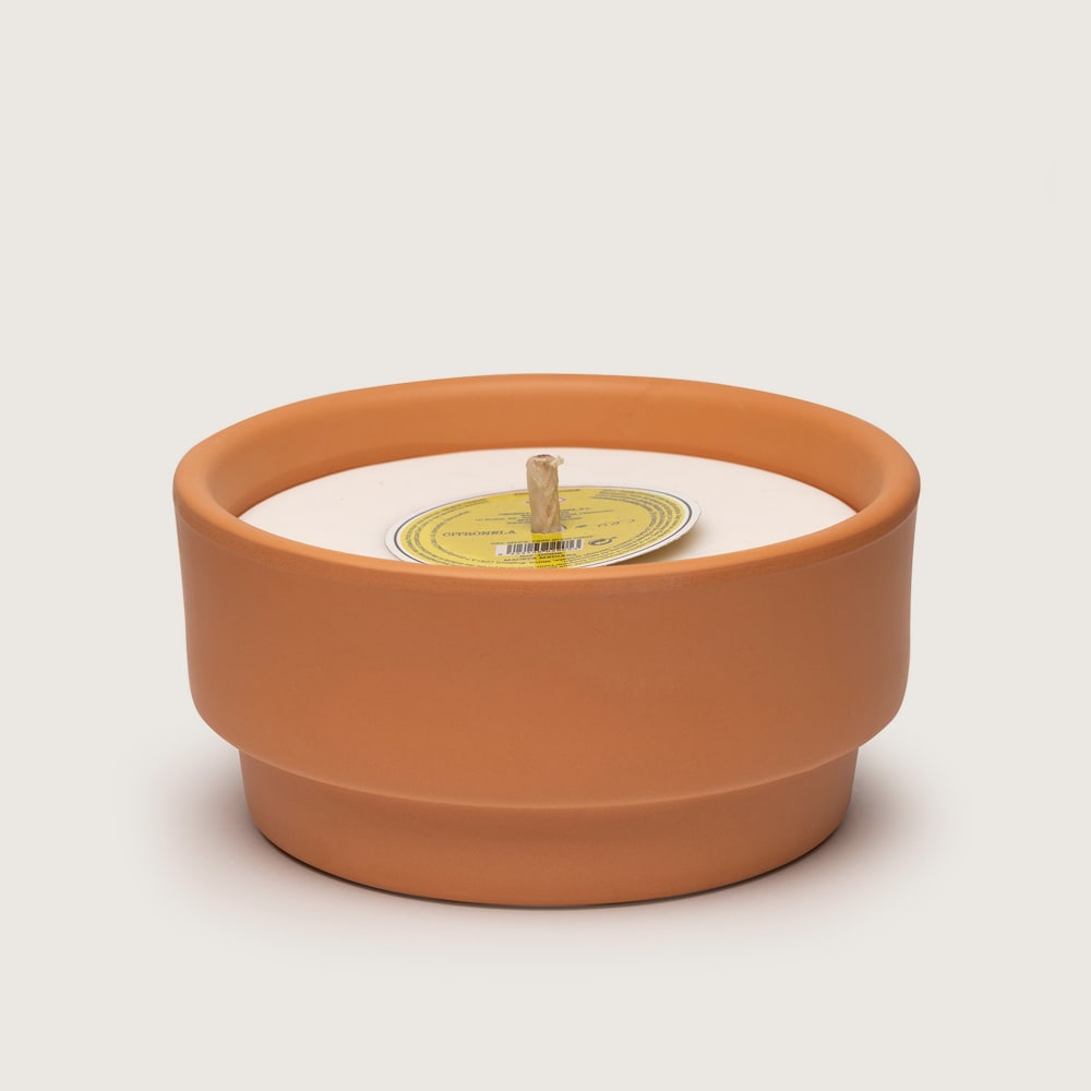 Vela perfumada Cerería Mollá Terracota Citronella & Mint (16 x 9 cm ...