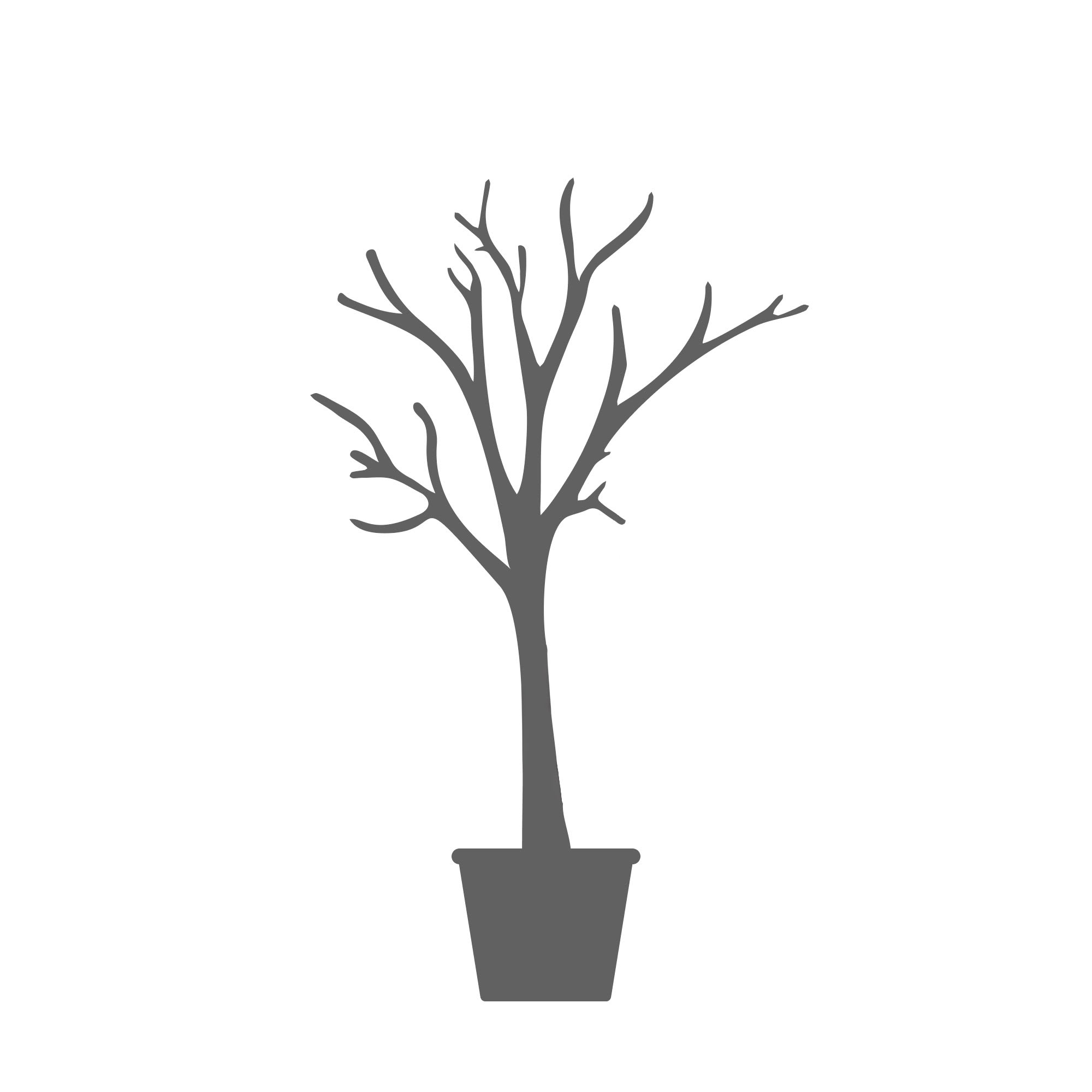 Almendro 'Marcona' (Prunus Dulcis) | Fronda