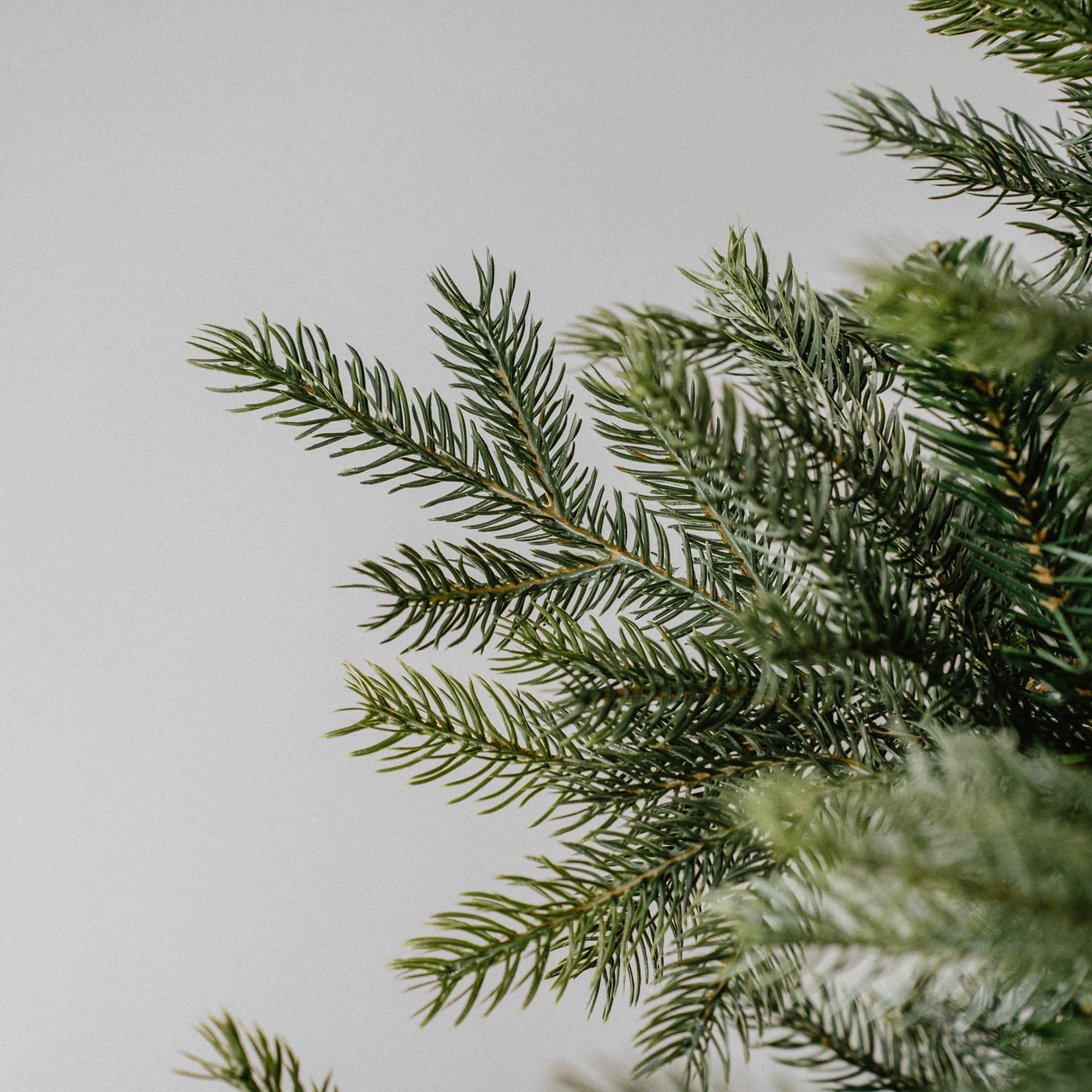 Árbol de Navidad Artificial Grandis | Fronda