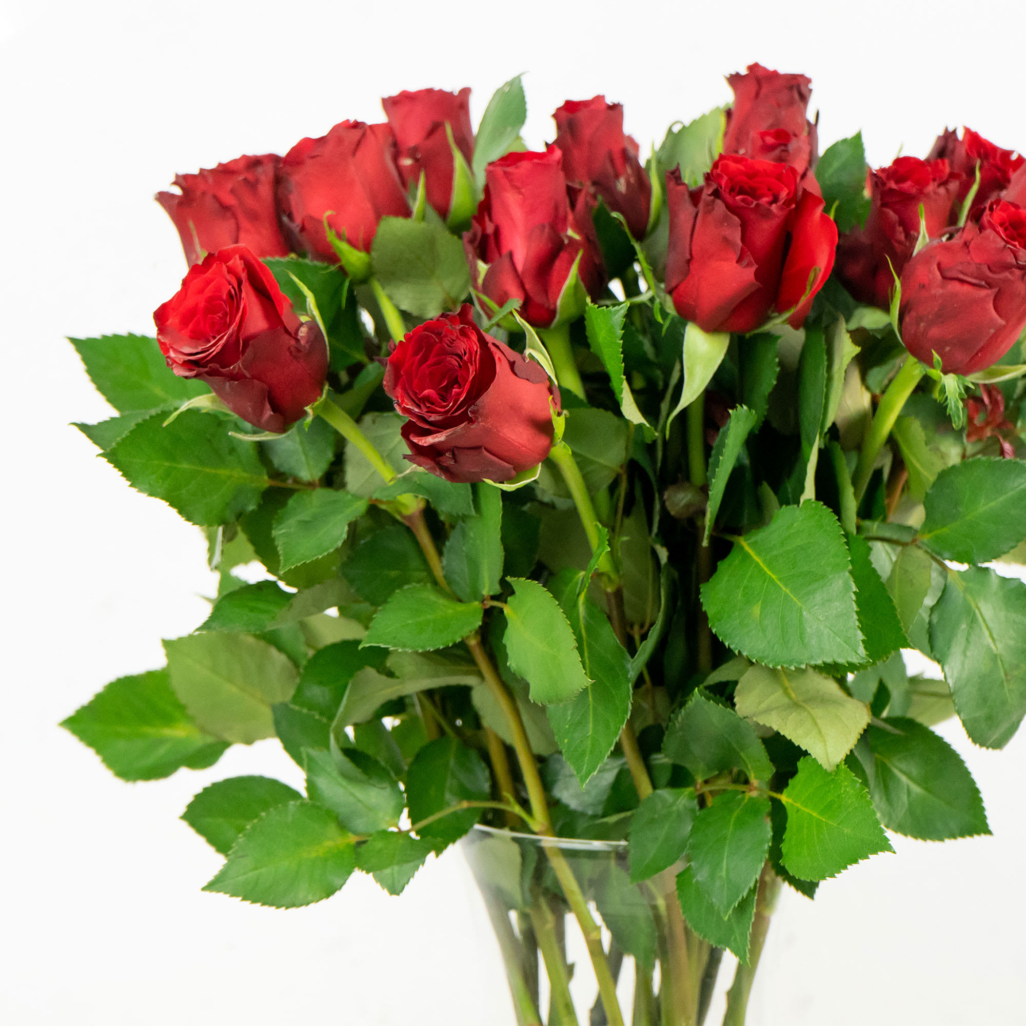 Ramillete de Mini Rosas Rojas | Fronda