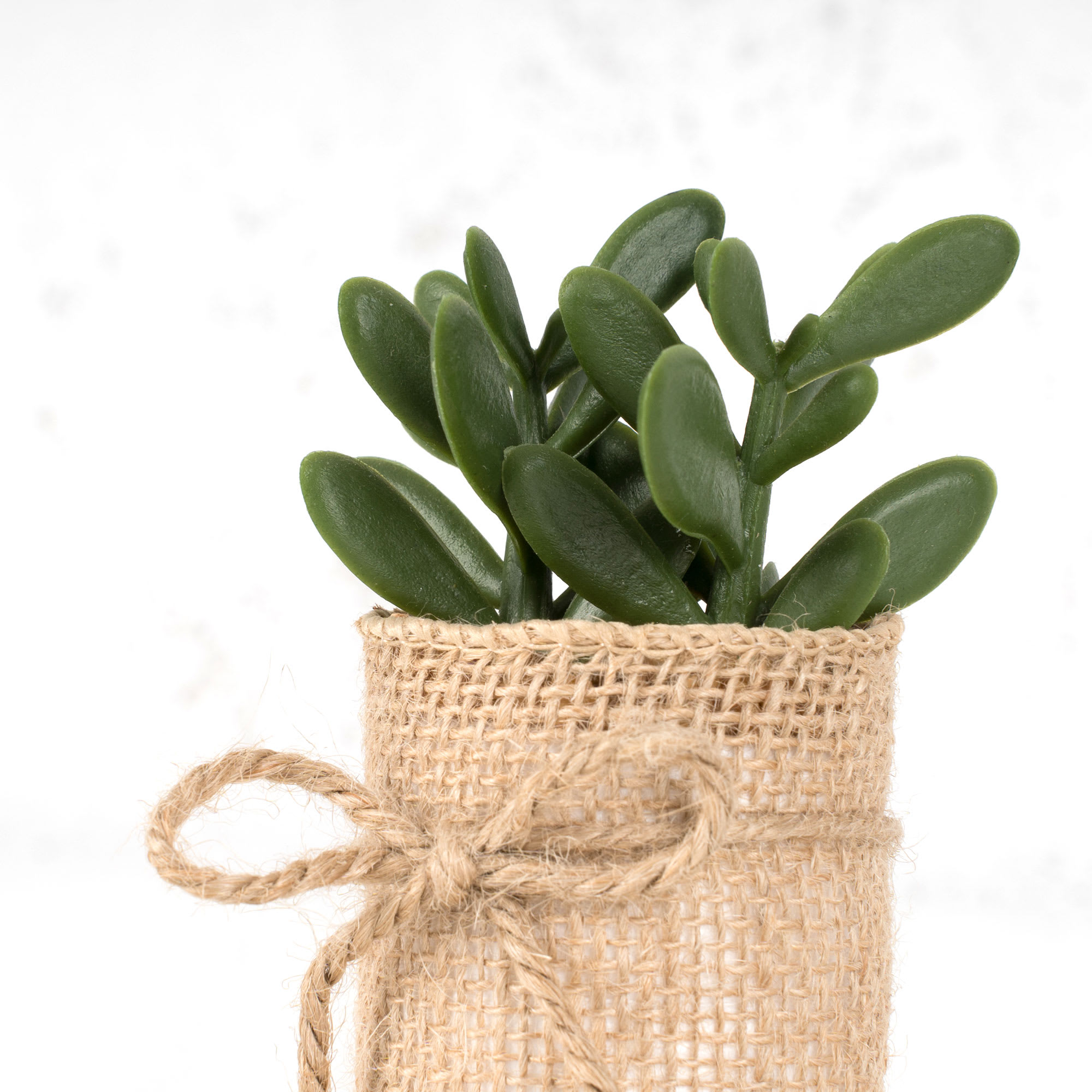 Maceta de crasas con yute surtido artificial | Fronda