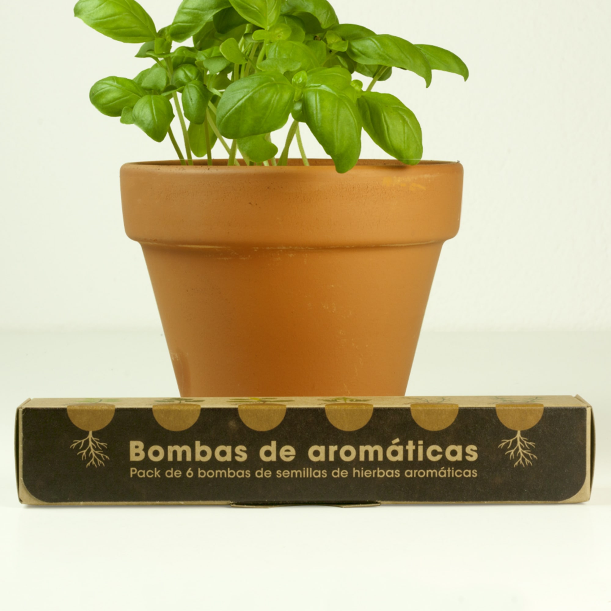Comprar Pack de 6 Bombas de Aromáticas Resetea | Fronda
