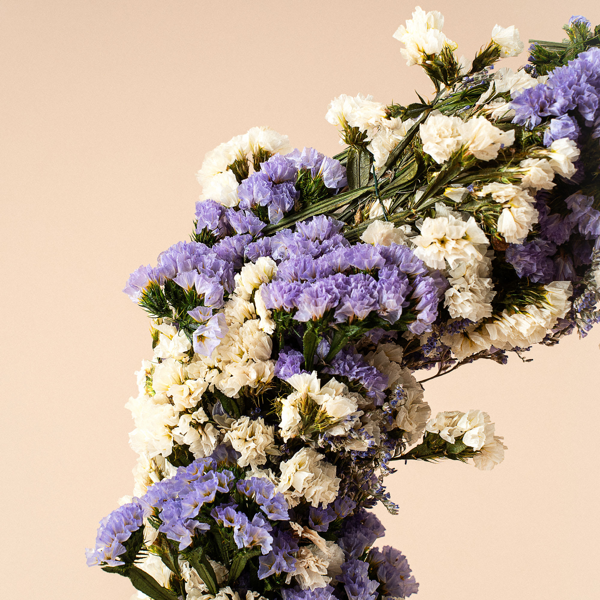 Comprar Corona Preservada de Statice Lila y Blanco y Limonium morado ...