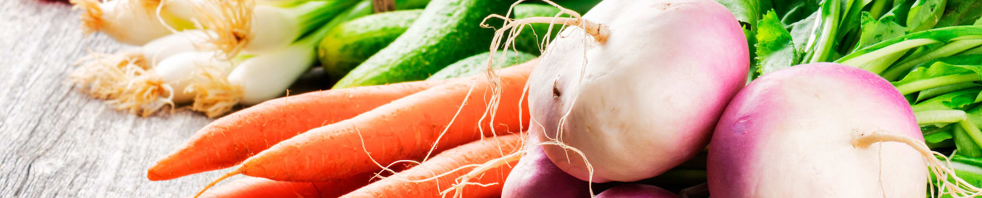 Raíces y tubérculos - Fronda Centros de Jardinería