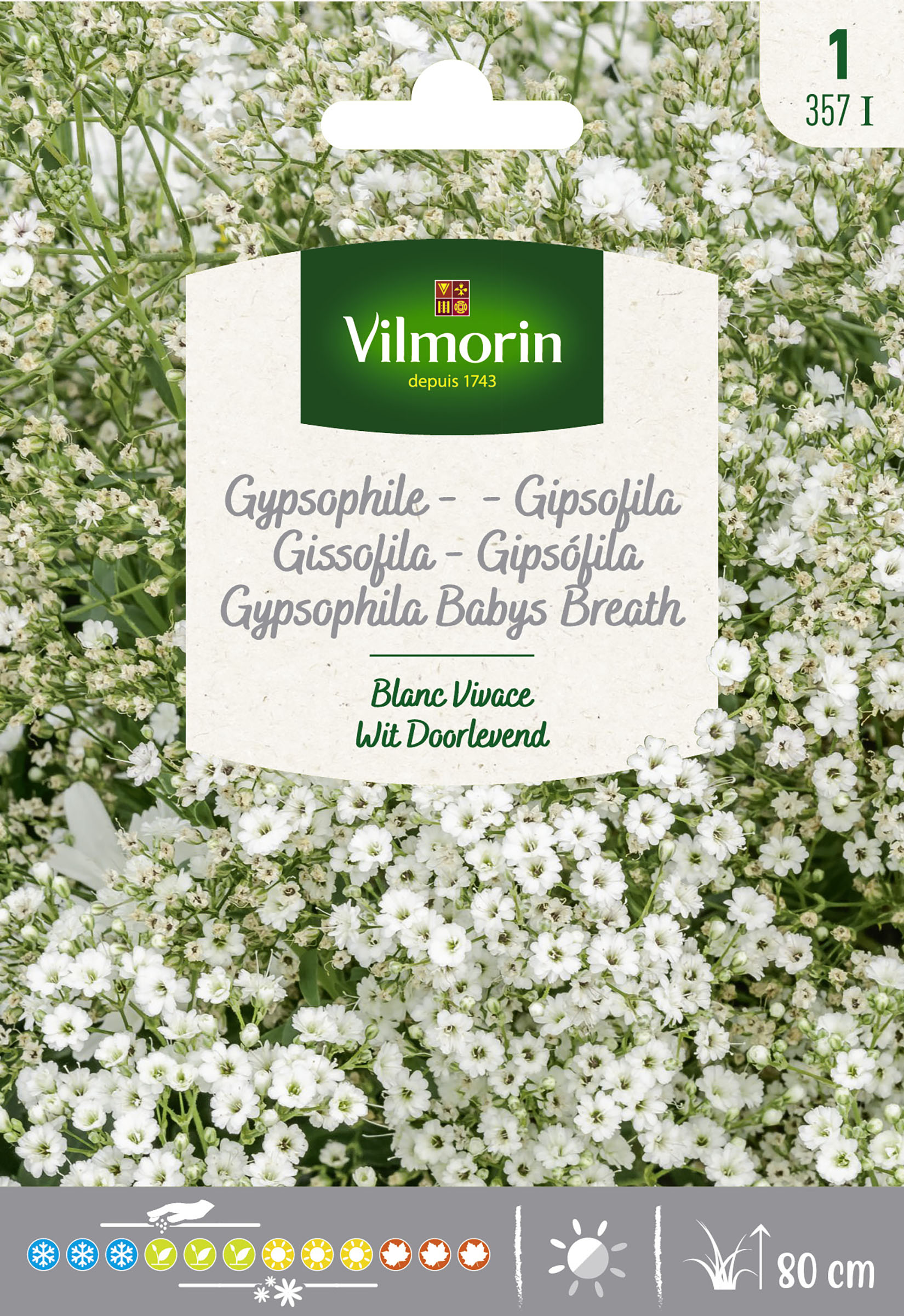 Semilla gipsofila paniculata blanca | Fronda