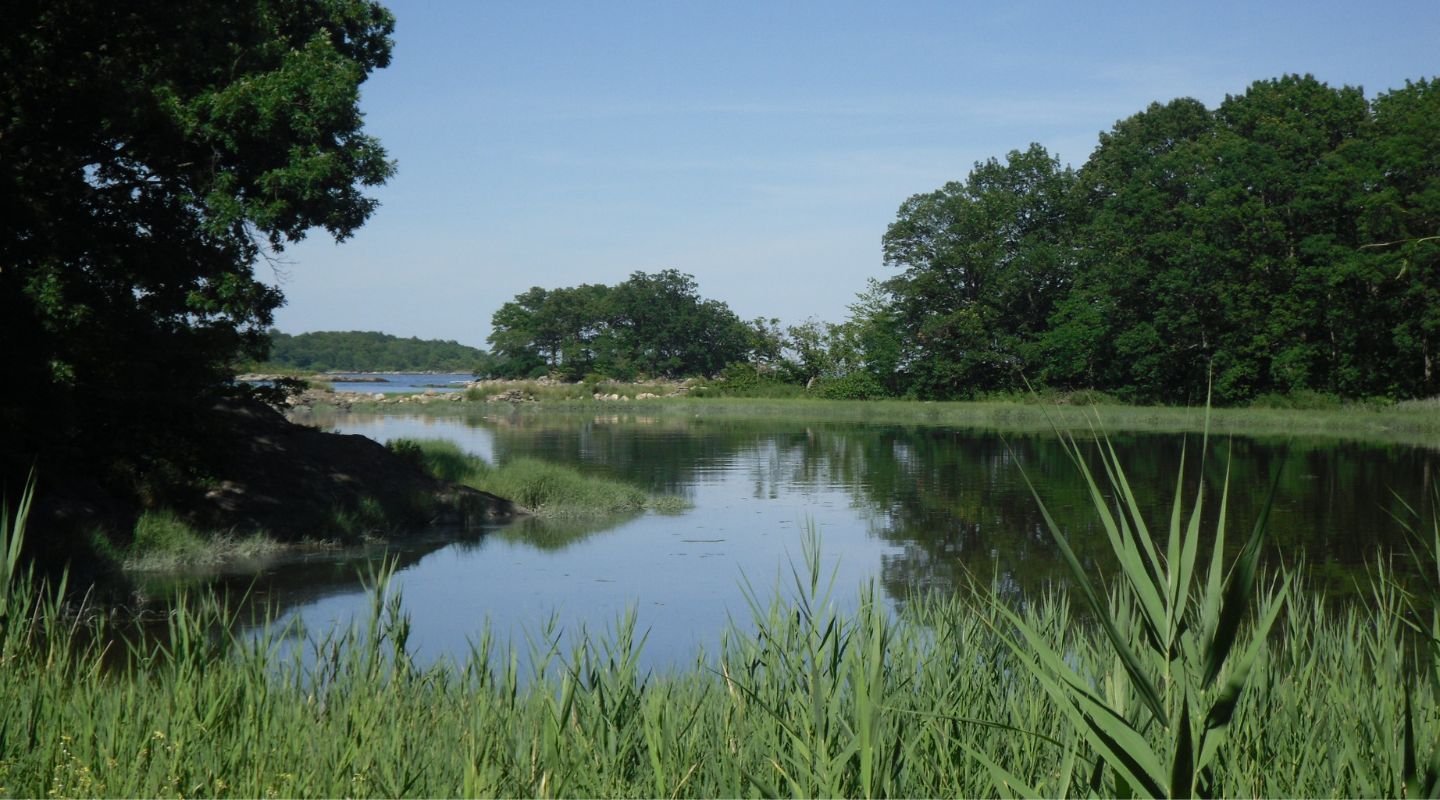 Best Parks in New York