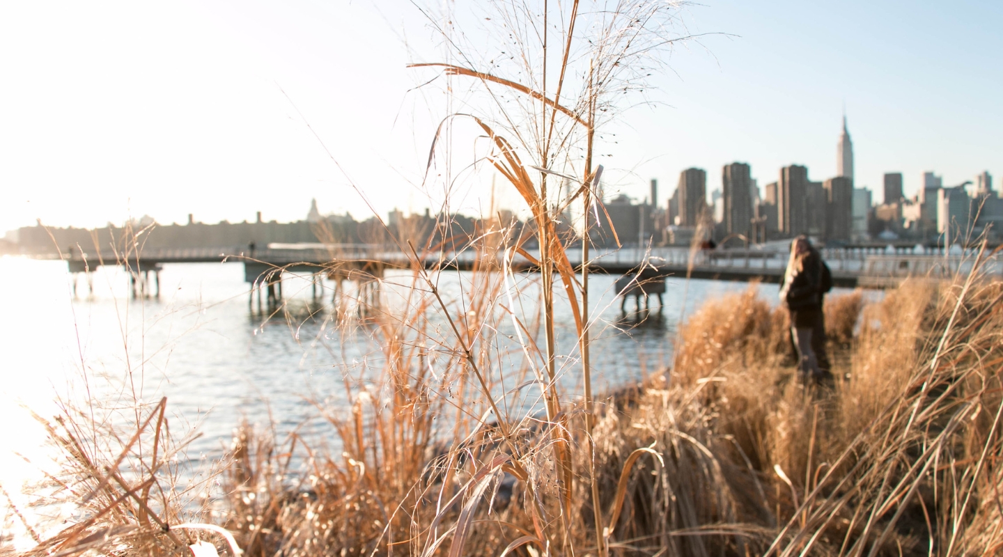 What to Do in Williamsburg Brooklyn