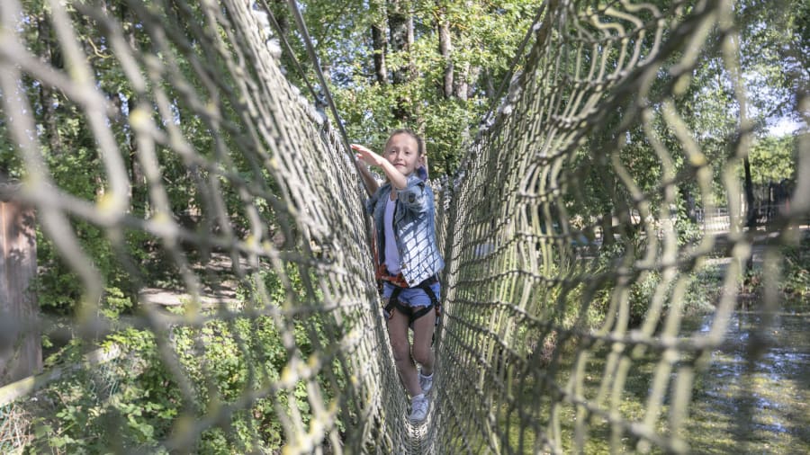 10 activités pour vos enfants à découvrir à Poitiers - Blog Funbooker ...