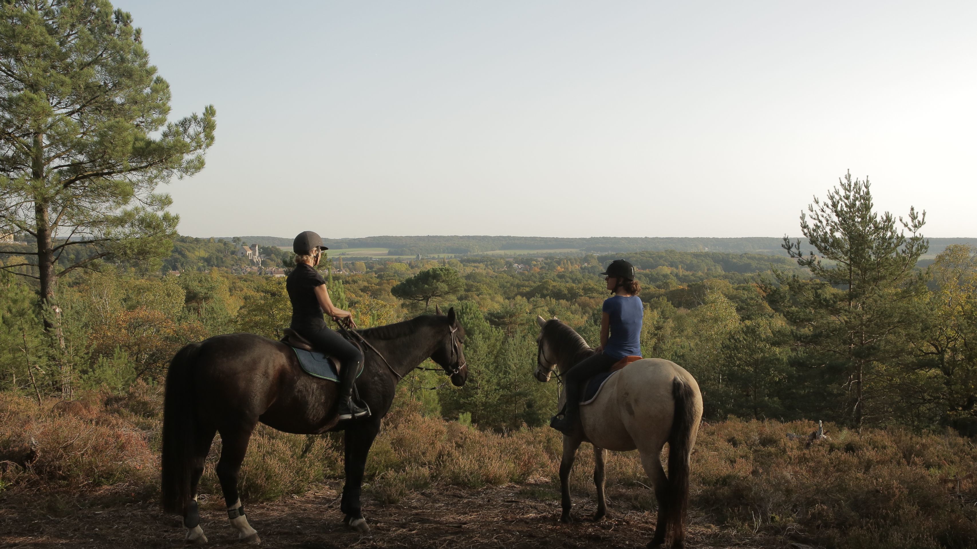 Activités de plein air en Ile-de-France : 20 idées de sorties