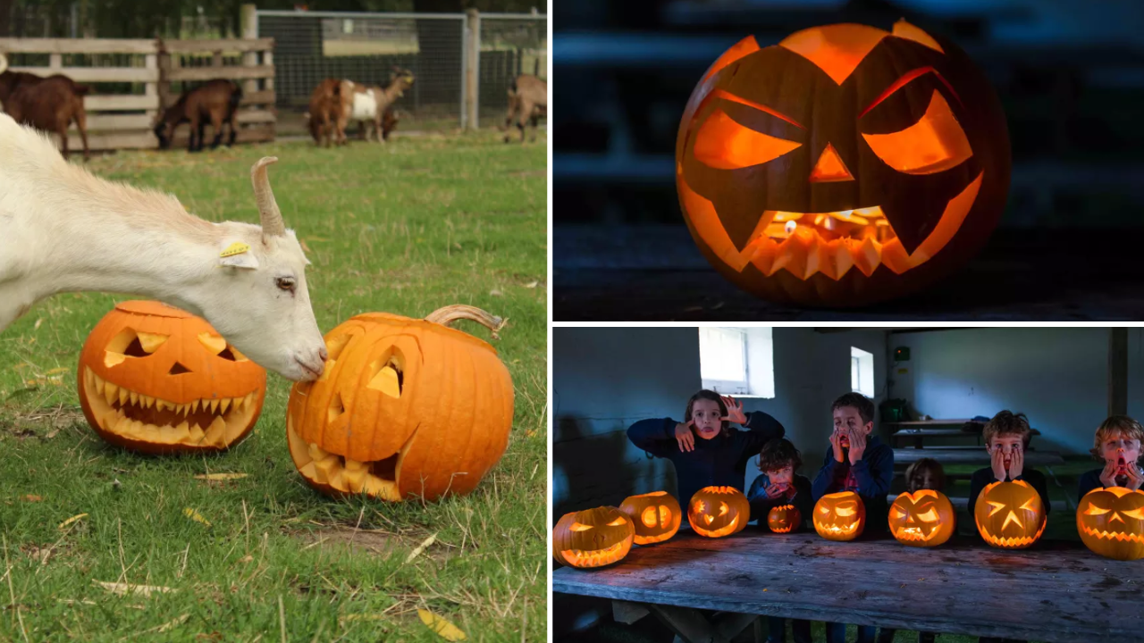 24 meilleures activités pour Halloween à Paris - Blog Funbooker | Le ...