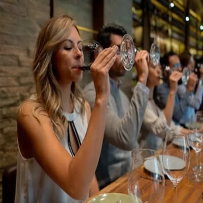 World wine tasting workshop in Lyon