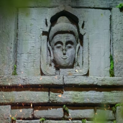 Escape Game „Der Dschungel“ im 20. Arrondissement von Paris