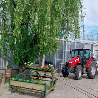 Visita guiada a la Ferme de Gally en Saint-Denis