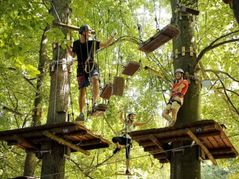 Parc Fun Forest à Fontaine-le-Comte : billets, tarifs & avis