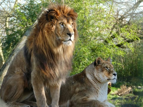 Zoo des Sables d'Olonne : billets, tarifs & avis