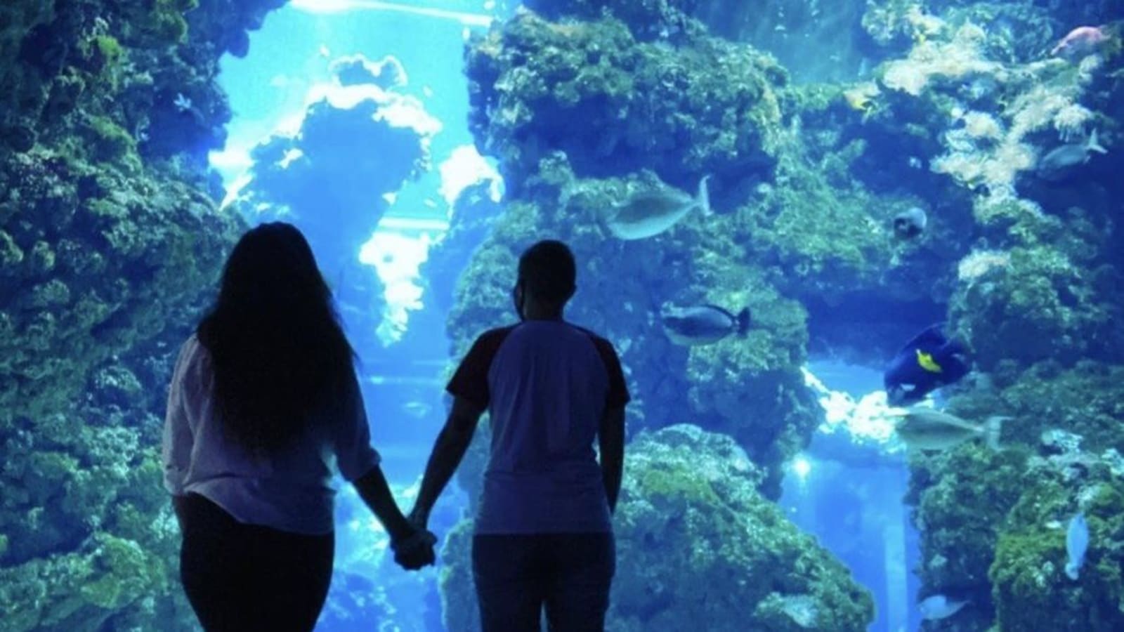 Activité couple Côte d'Azur : idées romantiques pour les amoureux