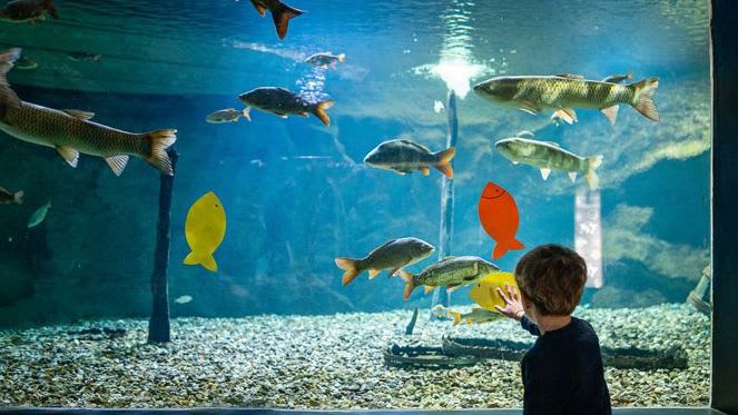 9 idées d’activités à faire en famille à Tours