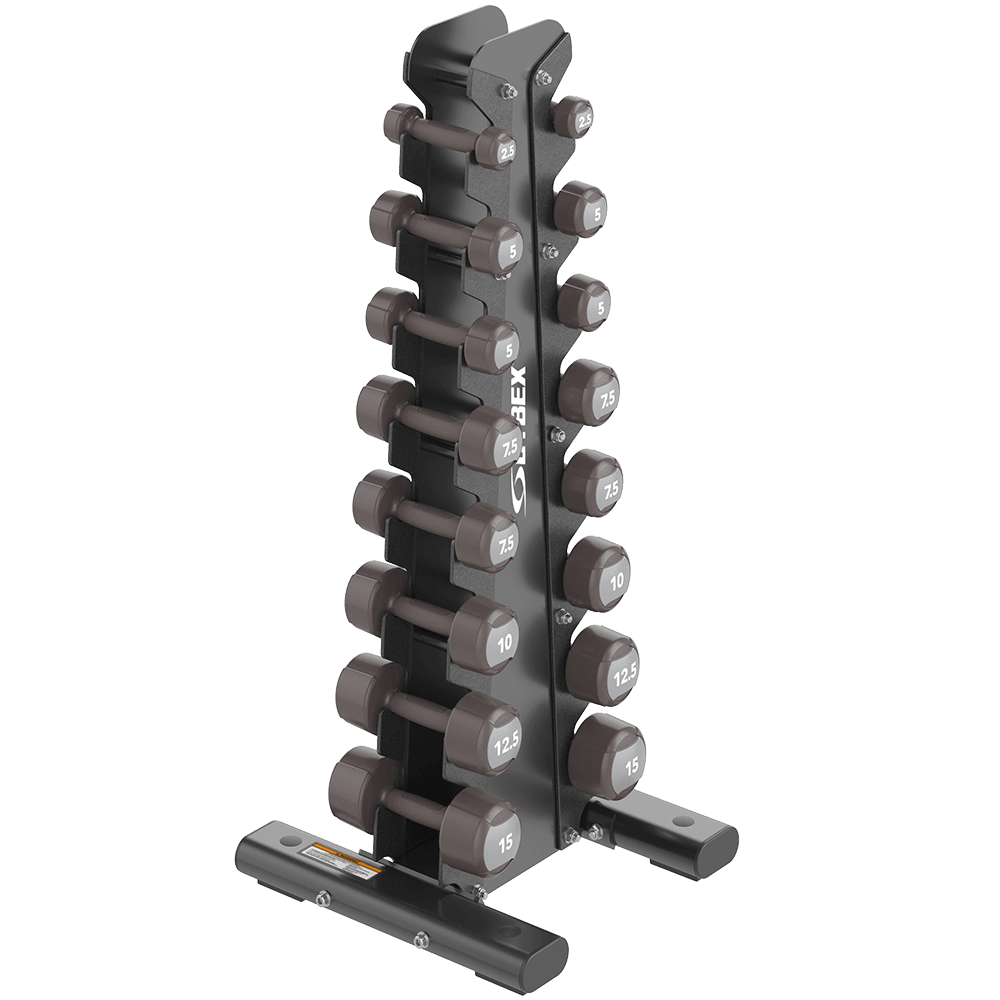 Cybex Ion Series Vertical Dumbbell Rack – Functional Fitness Products