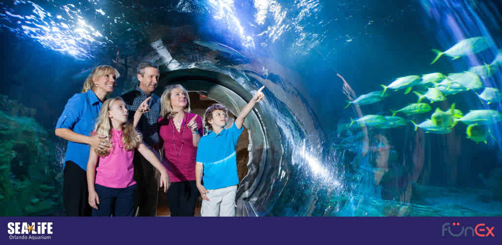 SEA LIFE Orlando Discounted Tickets | FunEx
