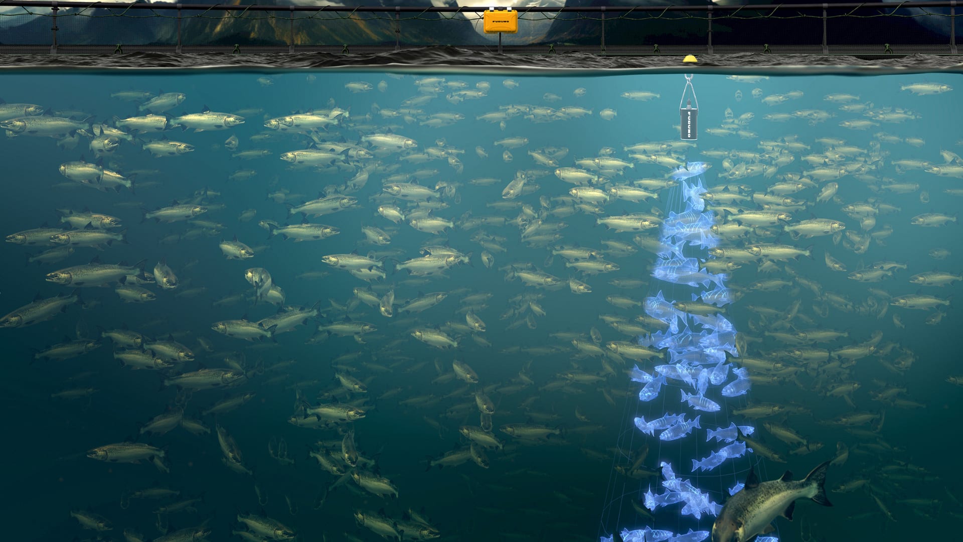 Aqua Scope analyser laksen i merden.