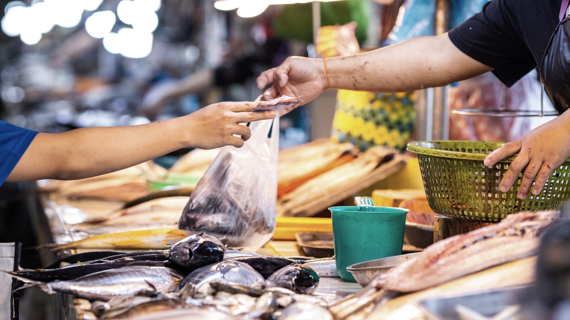 Nearly 80 years after the first Furuno Fish Finder, the same ...