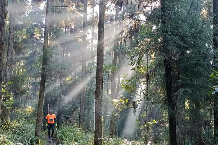 Chakung Bamboo Homestay