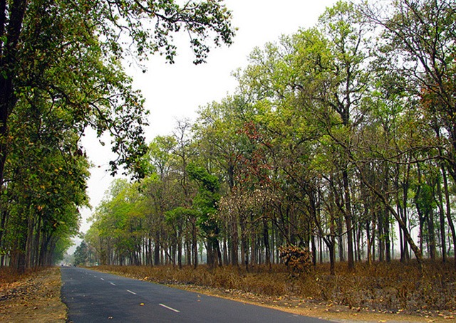 Hotels in Joypur Forest Bankura, AC Cottages Available