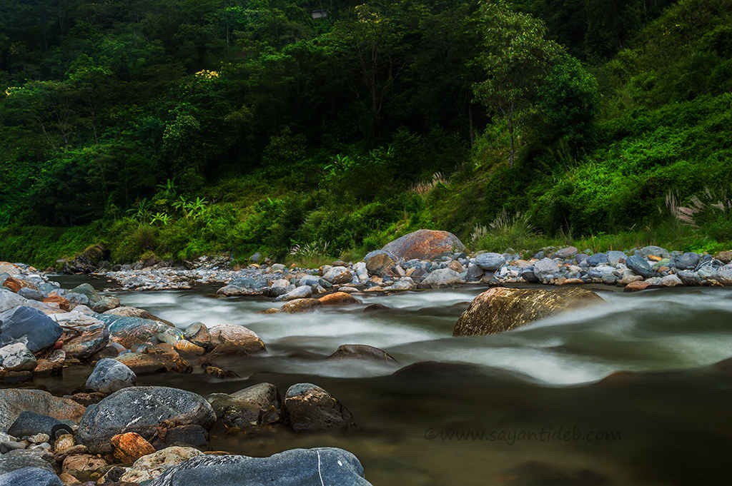 Top 5 verified homestays in Rishikhola with 4+ ranking