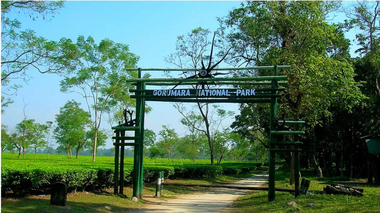 Best Lataguri Resort | Top 10 choices of Lataguri Hotels