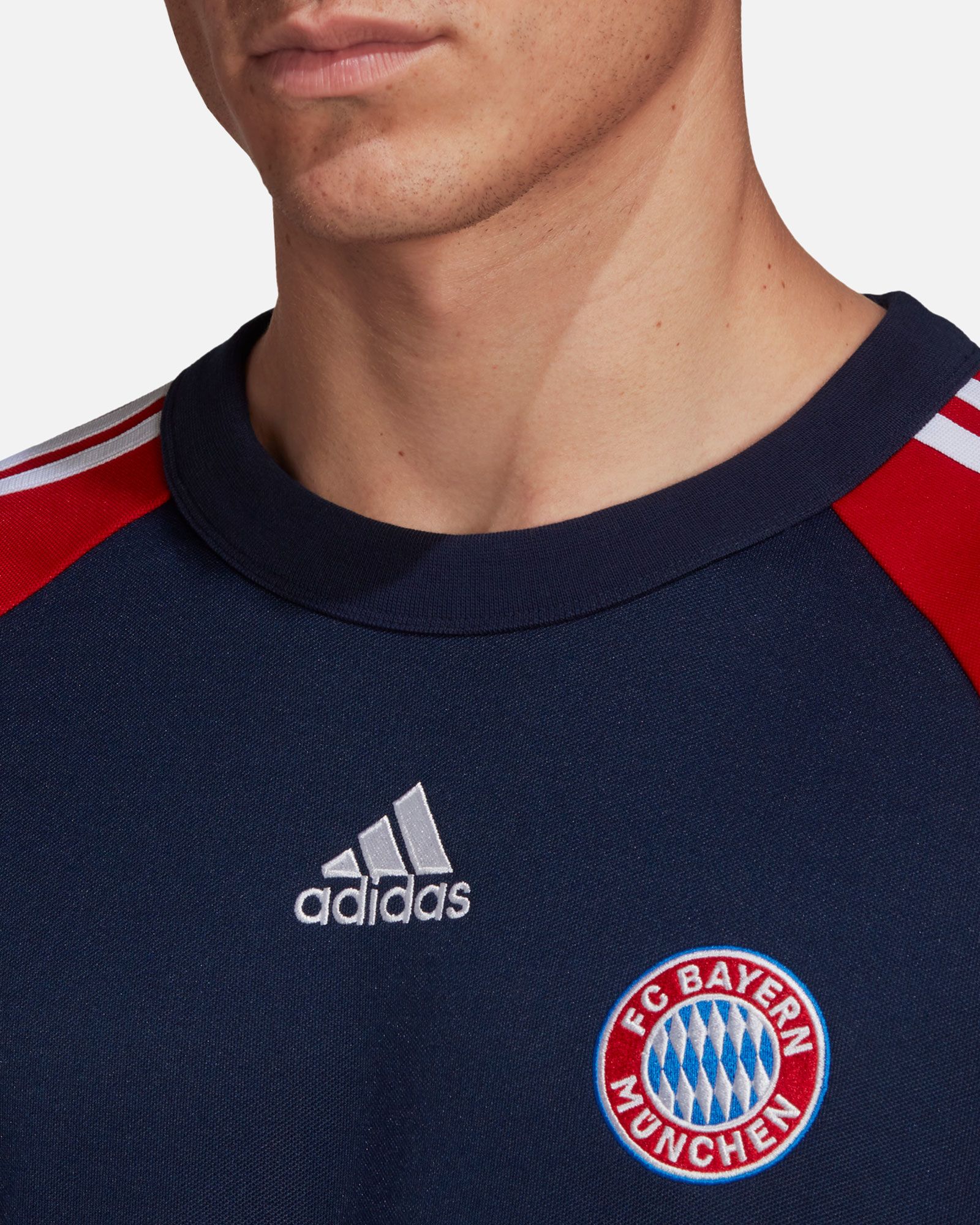 Sudadera Fc Bayern 2021 2022 Teamgeist
