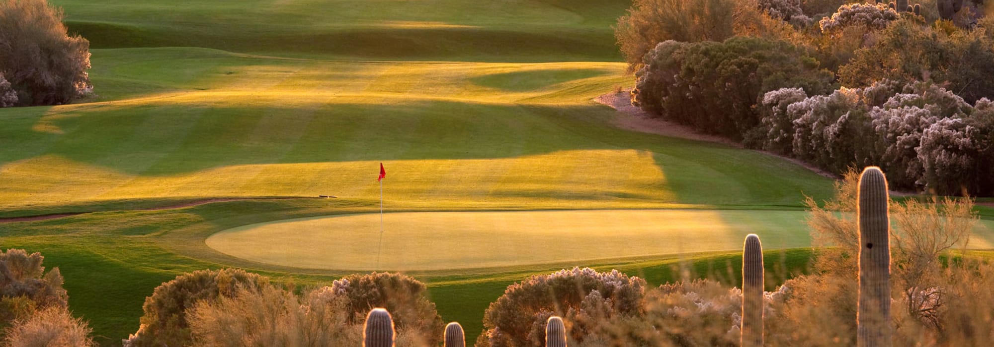 FirstStreet Ballpark Village: Goodyear, AZ Houses for Rent