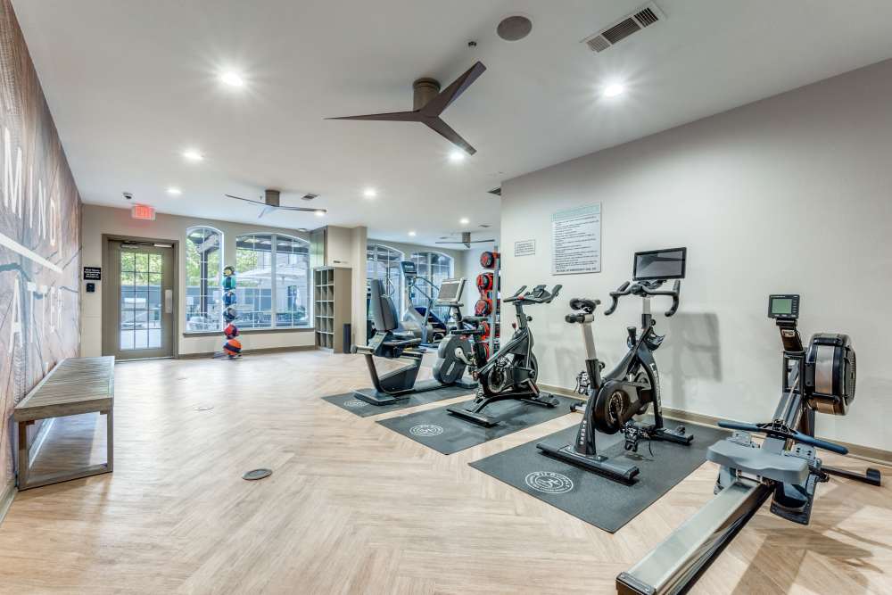 Virtual Tour & Photo Gallery - Remi Apartments