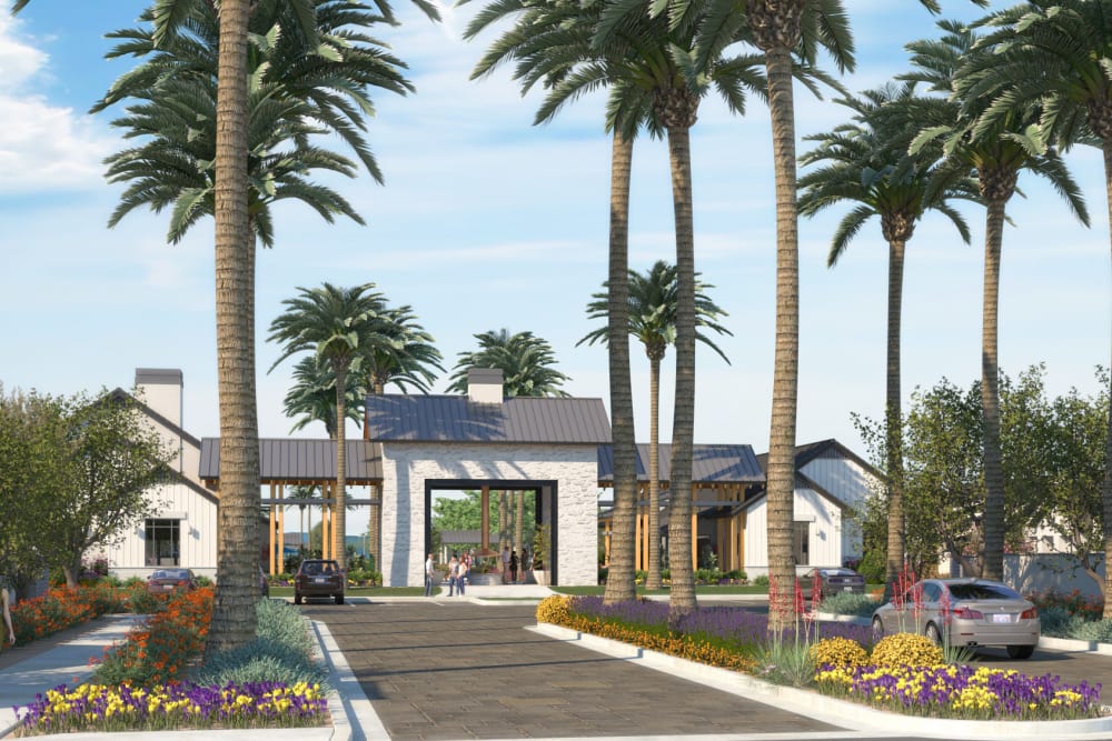 Houses with Private Backyards | Amenities at Elanto at Prasada