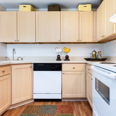 Apartments in Vancouver, WA | Terra at Hazel Dell