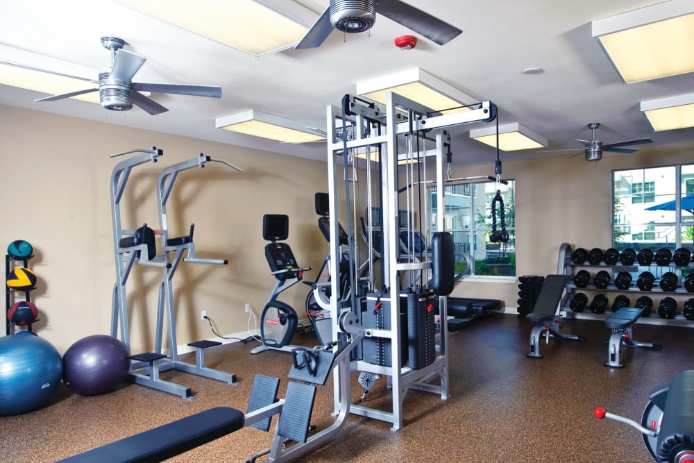 Mid-City New Orleans, LA Apartments | Crescent Club