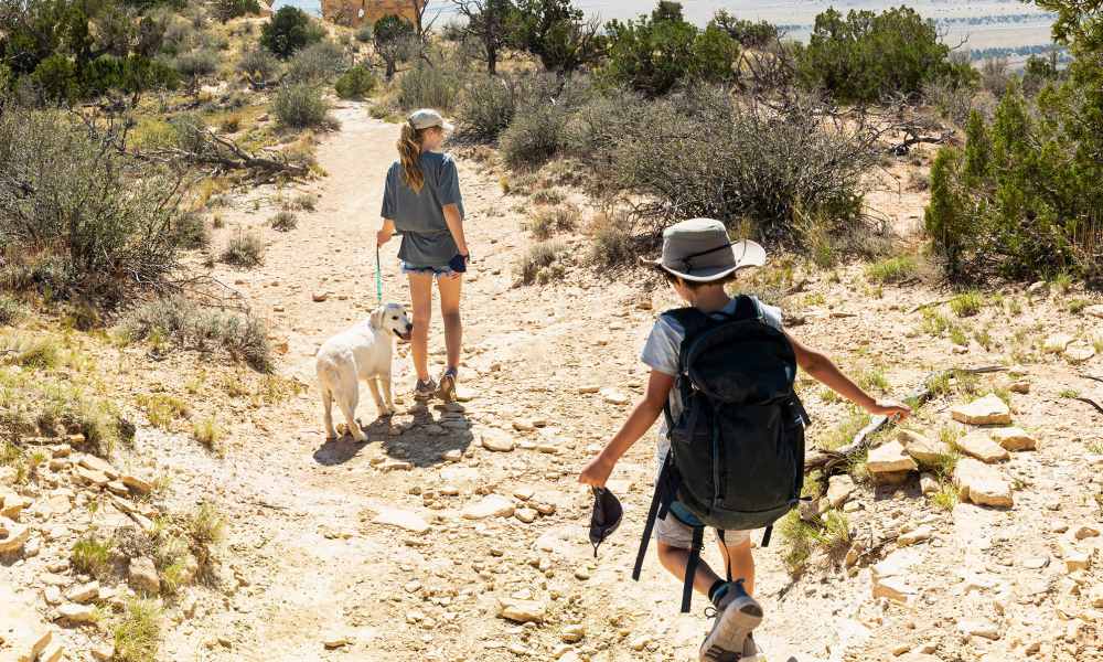 Northwest Reno, NV Apartments | The Overlook at Keystone Canyon