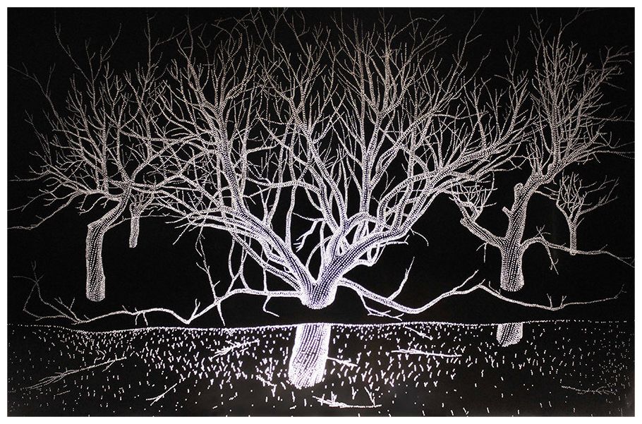 Amparo Sard | Galerie Isa